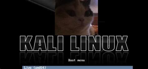 Grub Installation Failed Kali Linux Wallpaper Badedge