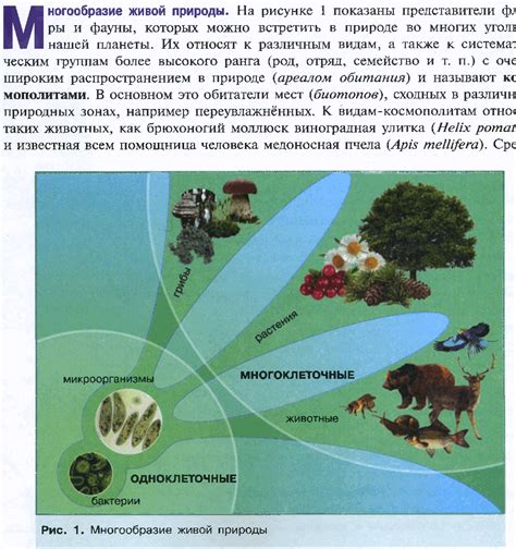 Биология Пасечник Учебник §1 - Частная школа. 10 класс