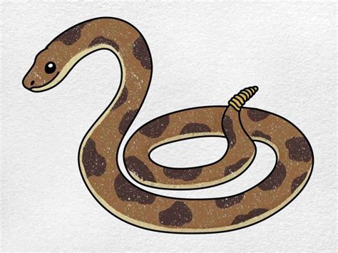 How To Draw A Rattlesnake Helloartsy