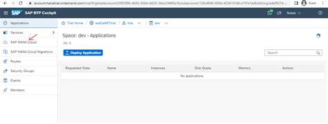 How To Setup SAP BTP Trial Account And Create SAP HANA Cloud Database Knowledge Management
