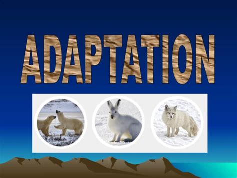 Adaptation Notes Behavioral Vs Structural Adaptations Evolution Unit