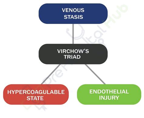 Virchows Triad Virchow Triad