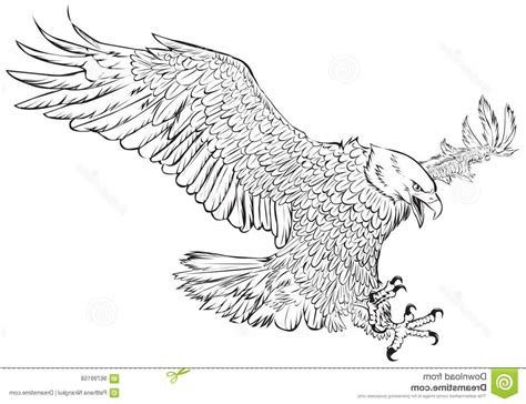 Swoop Vector At Collection Of Swoop Vector Free For