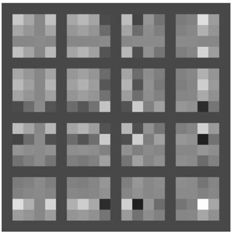 The Basis Functions For From Left To Right The Fractional 4×4 Download Scientific Diagram