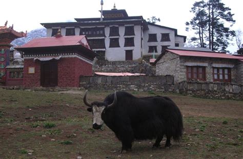 Everest 3 Pass Trek Greater Himalaya Trek