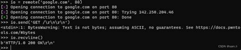 Pwn利器 Pwntools安装、调试教程一览 Csdn博客