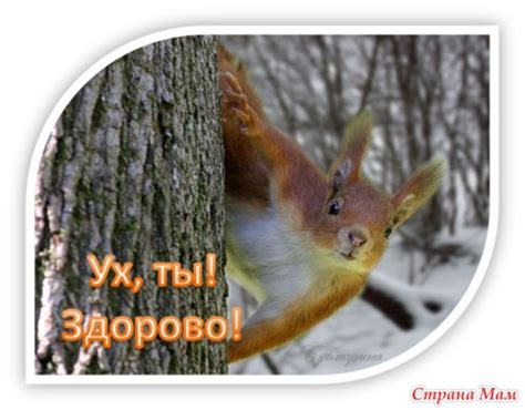 Сеточка для волос - Вязание - Страна Мам