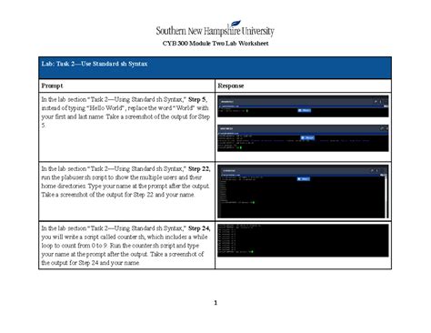 Cyb 300 Module Two Lab Worksheet Cyb 300 Module Two Lab Worksheet Lab Task 2—use Standard Sh
