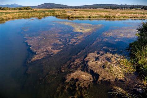 About Ifrmp Klamath Ifrmp