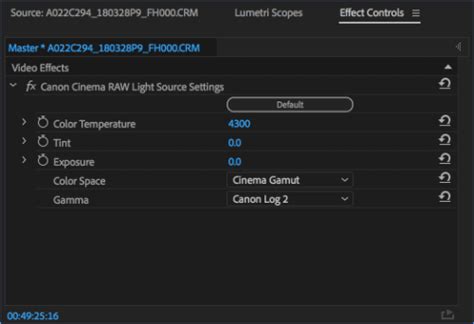 How To Use Canon Cinema RAW Light Format In Premiere Pro