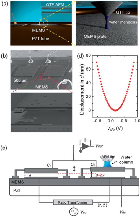 A Cartoon Rendition Of The Hybrid AFM MEMS System The Enlarged Download Scientific Diagram