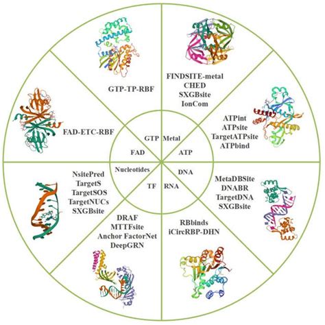 tools used in ligand specific methods to predict binding sites