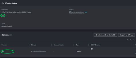 Create Aws Certificate For Ha Deployment Openvidu
