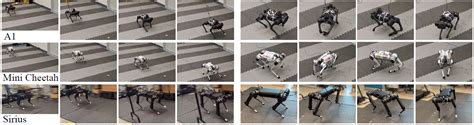 GenLoco Generalized Locomotion Controllers For Quadrupedal Robots