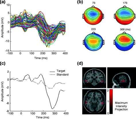 ERP Results Of A Single Subject A The Channels ERP Electrodes Of Download Scientific