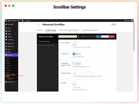 Advanced Scrollbar Custom Scrollbar Styling And Behavior Wordpress Plugin
