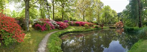 Attractions In The New Forest Hampshire 60 Photos