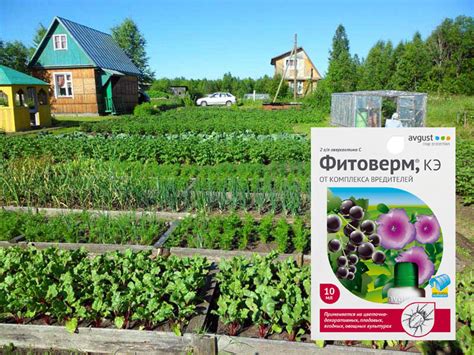 Фитоверм – инструкция по применению для растений, отзывы