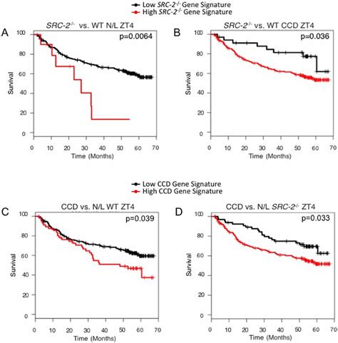 Src 2 And Ccd Gene Signatures Stratify Human Hcc Patient Survival Download Scientific