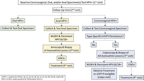 Follow Up And Clinical Management Of Baseline Hpv Positive Results Download Scientific Diagram Follow Up And Clinical Management Of Baseline Hpv Positive Results Download Scientific Diagram