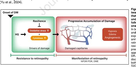 Figure 5 From “resilience To Diabetic Retinopathy” Semantic Scholar