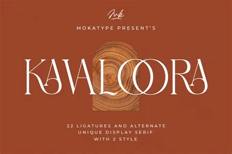 Best Fonts With Ligatures Our Top Ligature Fonts