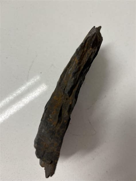 Fossil Or Other Mineralization Swva R Fossilid