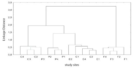 7 dendrogram of the analysis of the hierarchic clustering for