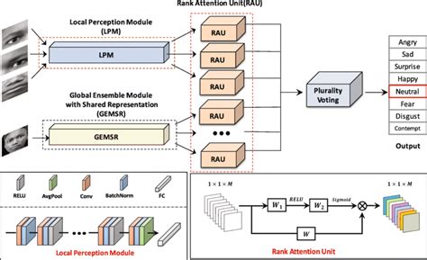 Framework Of The Proposed The Global And Local Fusion Ensemble Network
