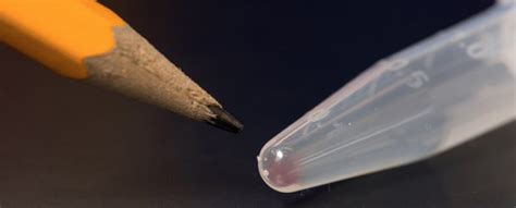 Scientists Have Figured Out How To Store Digital Images In DNA ScienceAlert