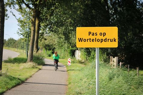 Tree Root Guide Greenmax Groenoplossingen