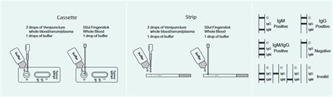 Fanttest Typhoid Iggigm Rapid Test