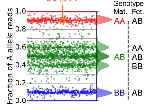 How Would You Create A Vcf File For The Genotype Of Embryos Of Known