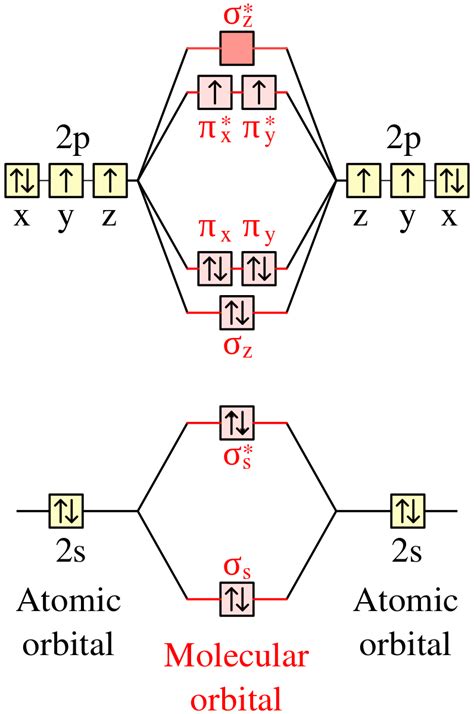 Diagram For Oxygen Educative Diagrams Oxygen Cycle Diagram