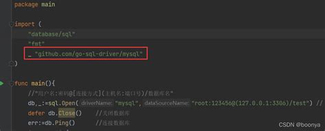 go语言连接数据库驱动安装和示例 go语言 dialect driver csdn博客