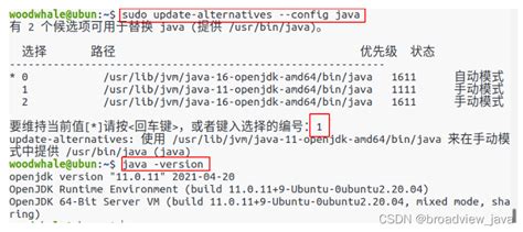 Ubuntu2004 安装和卸载openjdkubuntu Openjdk Csdn博客