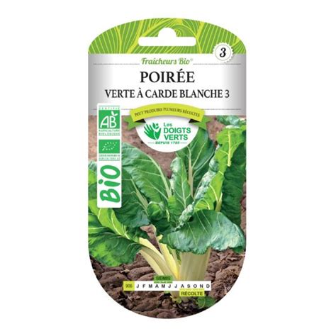 Poirée Verte à Carde Blanche Bio Les Doigts Verts Provence Outillage