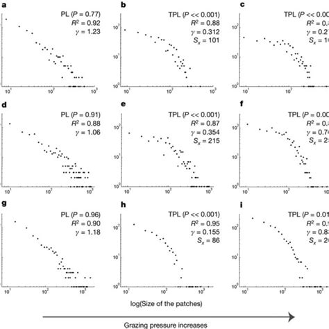 Pdf Spatial Vegetation Patterns And Imminent Desertification In Mediterranean Arid Ecosystems