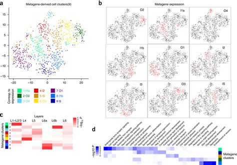 Reanalysis Of Single Cell Rnaseq Data From Ref 27 With Domain Download Scientific Diagram