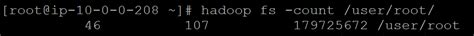 Count The Directories In The HDFS And Display On The File System
