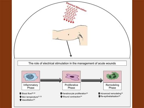 Zero Volt Therapy An Extremely Detailed Analysis Pptx Physics Science
