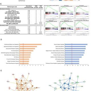 Transcriptome Difference Based On Bulk RNA Seq Data Between Tumor Download Scientific Diagram