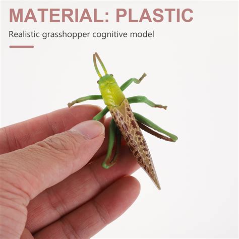 1 Set Of Simulation Grasshopper Growth Cycle Model Grasshopper
