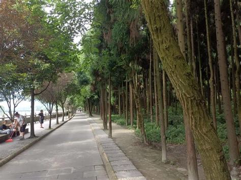 git配置忽略文件 gitignore 范本 知乎