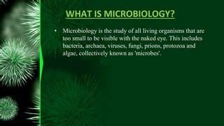 Introduction To Microbiology Pptx