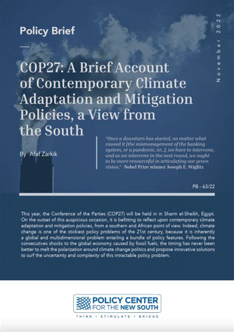 Cop27 A Brief Account Of Contemporary Climate Adaptation And Mitigation Policies A View From