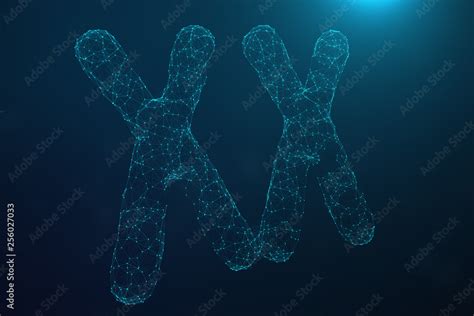 3d illustration polygonal low poly digital artificial xx chromosomes