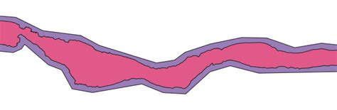 Solved Polygon Simplification Without Intersection In Geopandas Shapely Solveforum