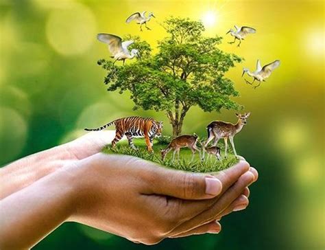 සොබාදහමයි ඔබයි සොබාදහමයි ඔබයි Added A New Photo