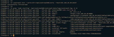 Cómo Instalar Un Clúster Cockroachdb En Almalinux 9 Howtoforge